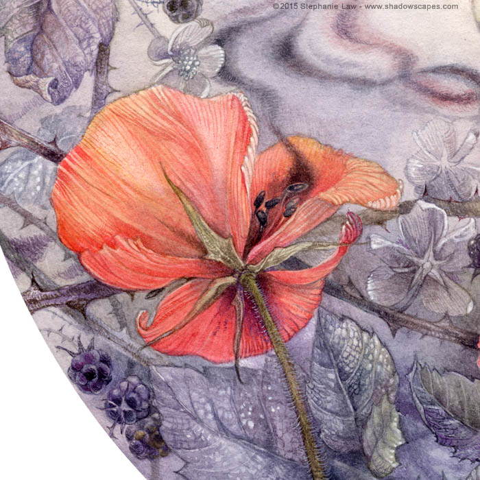 Shadowscapes - The Art of Stephanie Law