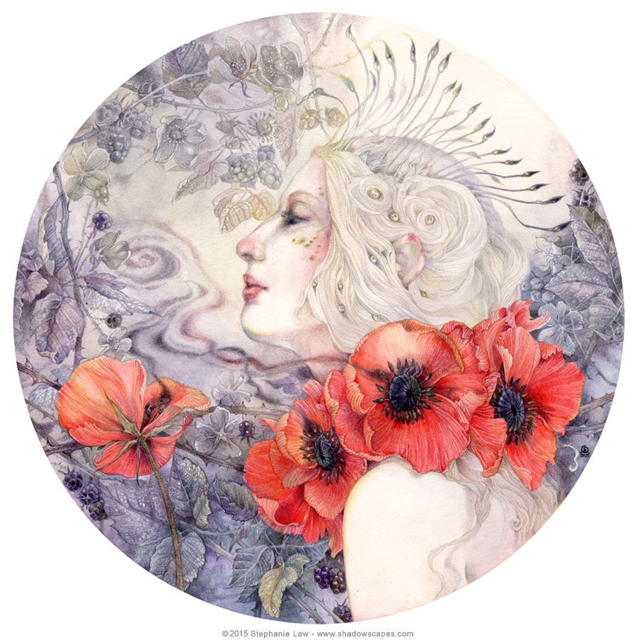Shadowscapes - The Art of Stephanie Law